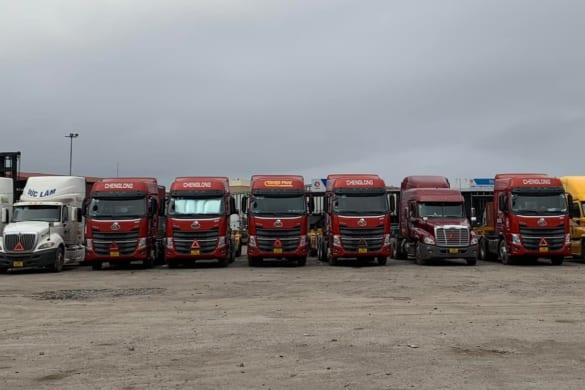 Giá vận tải container khu vực cảng Cát Lái (HCM) tháng 10/2025 - TTL ...